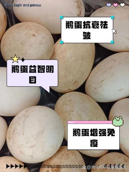 鹅蛋的营养价值_鹅蛋一天吃几个最好-第3张图片-山城妙识 鹅蛋的营养价值_鹅蛋一天吃几个最好-第3张图片-山城妙识