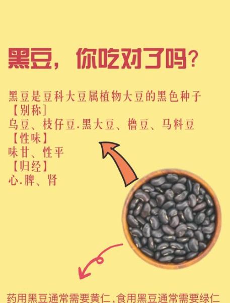 黑芸豆和黑豆哪个补肾_哪个更适合肾虚人群-第1张图片-山城妙识 黑芸豆和黑豆哪个补肾_哪个更适合肾虚人群-第1张图片-山城妙识
