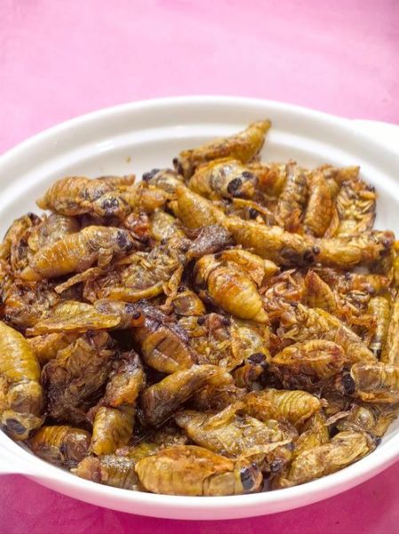 蝉菜怎么做好吃_蝉菜的做法大全-第2张图片-山城妙识 蝉菜怎么做好吃_蝉菜的做法大全-第2张图片-山城妙识