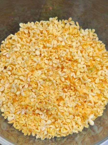 鲜桂花怎么保存_鲜桂花保存方法-第2张图片-山城妙识 鲜桂花怎么保存_鲜桂花保存方法-第2张图片-山城妙识