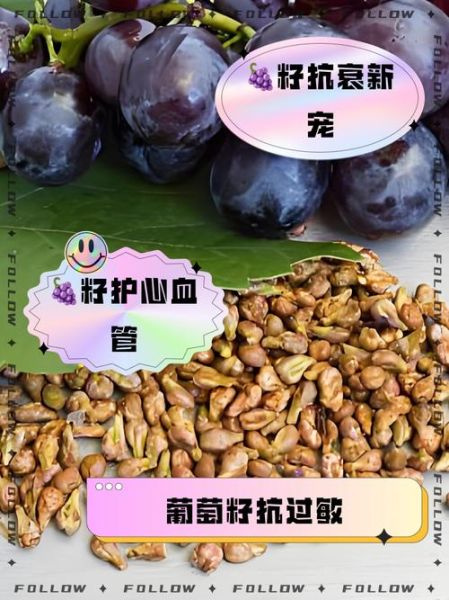 什么人不能吃葡萄籽_葡萄籽禁忌人群-第1张图片-山城妙识 什么人不能吃葡萄籽_葡萄籽禁忌人群-第1张图片-山城妙识