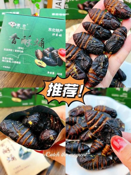 蚕茧壳的功效与作用_蚕茧壳怎么吃效果最好-第2张图片-山城妙识