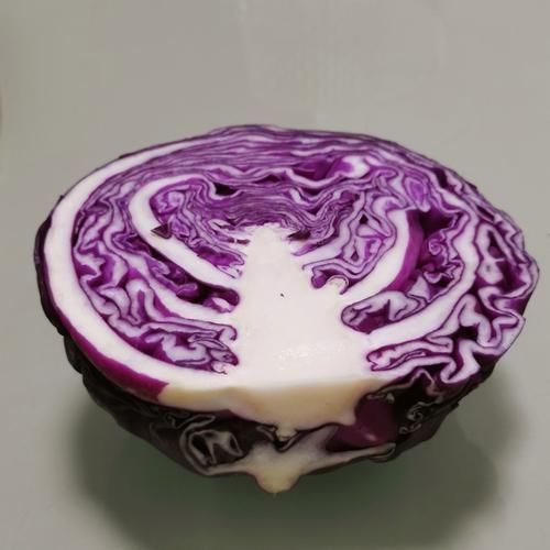 紫色包菜的营养价值_紫色包菜怎么吃最健康-第2张图片-山城妙识