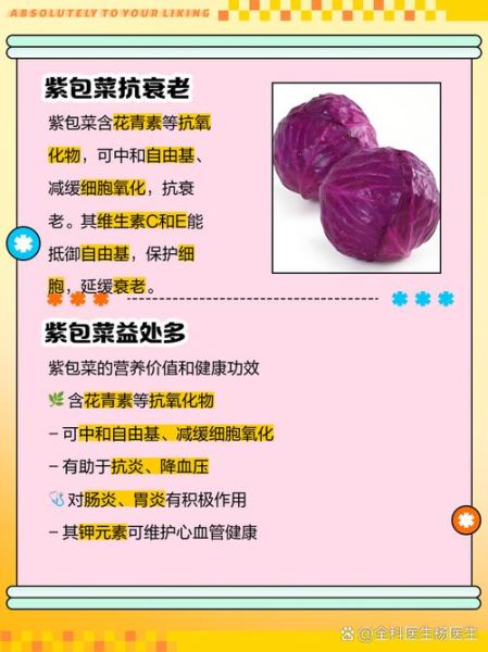 紫色包菜的营养价值_紫色包菜怎么吃最健康-第1张图片-山城妙识