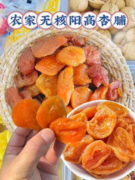 杏脯读音是什么_杏脯怎么读才标准-第1张图片-山城妙识