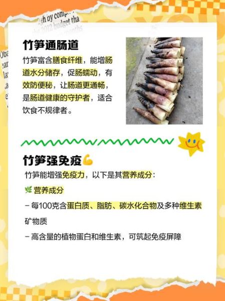 女性吃竹笋的好处和坏处_竹笋对女性的影响-第1张图片-山城妙识