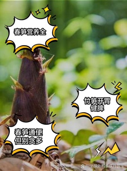 女性吃竹笋的好处和坏处_竹笋对女性的影响-第2张图片-山城妙识