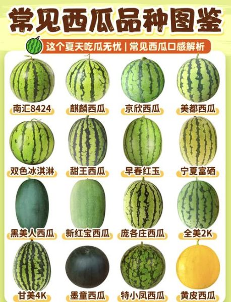 黑美人和麒麟瓜哪个好吃_口感甜度对比-第1张图片-山城妙识