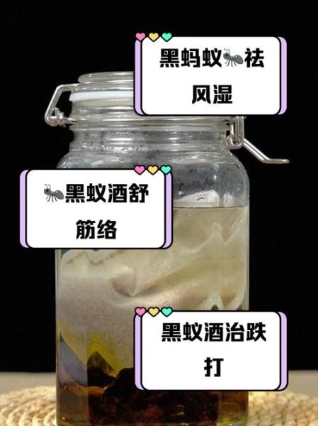 黑蚂蚁泡酒有什么功效_黑蚂蚁酒怎么泡效果最好-第1张图片-山城妙识 黑蚂蚁泡酒有什么功效_黑蚂蚁酒怎么泡效果最好-第1张图片-山城妙识