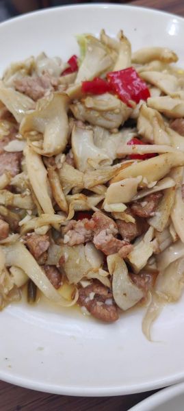 凤尾菇怎么做好吃_凤尾菇的家常做法-第2张图片-山城妙识 凤尾菇怎么做好吃_凤尾菇的家常做法-第2张图片-山城妙识