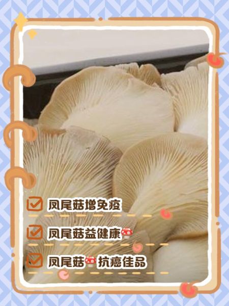 凤尾菇怎么做好吃_凤尾菇的家常做法-第1张图片-山城妙识 凤尾菇怎么做好吃_凤尾菇的家常做法-第1张图片-山城妙识