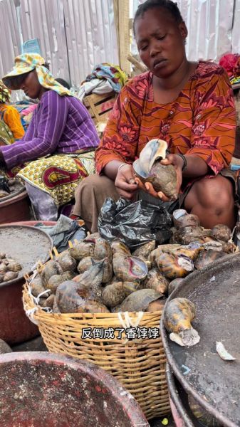 非洲大蜗牛怎么做好吃_非洲大蜗牛做法大全-第2张图片-山城妙识 非洲大蜗牛怎么做好吃_非洲大蜗牛做法大全-第2张图片-山城妙识
