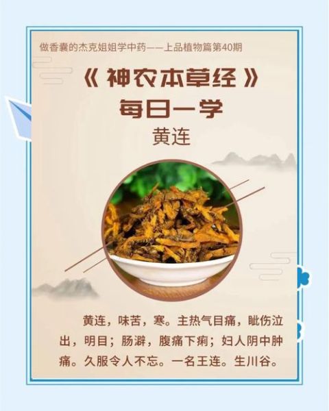 蜜饯黄连打一成语是什么_同甘共苦典故由来-第2张图片-山城妙识 蜜饯黄连打一成语是什么_同甘共苦典故由来-第2张图片-山城妙识