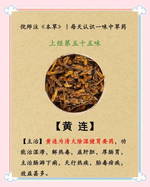 蜜饯黄连打一成语是什么_同甘共苦典故由来-第1张图片-山城妙识 蜜饯黄连打一成语是什么_同甘共苦典故由来-第1张图片-山城妙识