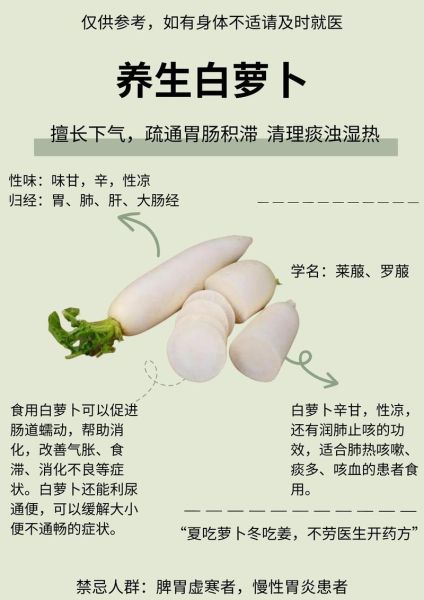 白萝卜怎么吃最润肺_白萝卜的功效与禁忌-第1张图片-山城妙识 白萝卜怎么吃最润肺_白萝卜的功效与禁忌-第1张图片-山城妙识