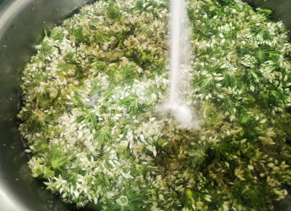 韭菜花酱怎么腌制_韭菜花酱的做法步骤-第3张图片-山城妙识 韭菜花酱怎么腌制_韭菜花酱的做法步骤-第3张图片-山城妙识