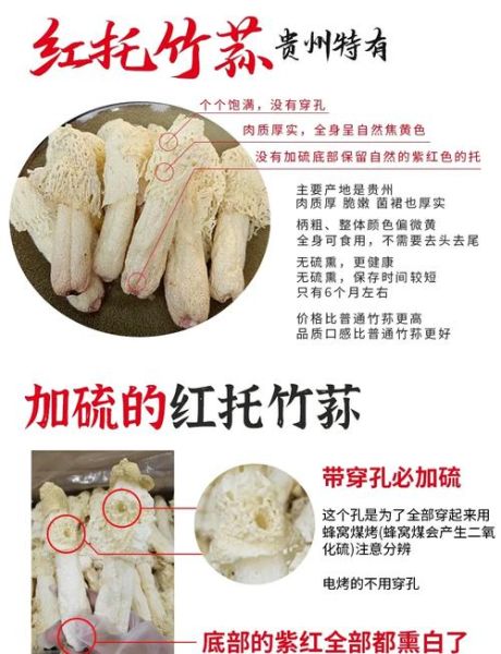 竹荪多少钱一斤_竹荪价格为何波动大-第1张图片-山城妙识 竹荪多少钱一斤_竹荪价格为何波动大-第1张图片-山城妙识