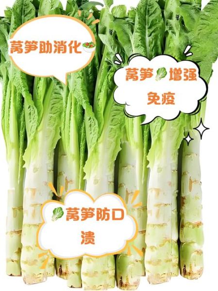 窝笋不能和什么一起吃_窝笋相克食物有哪些-第2张图片-山城妙识