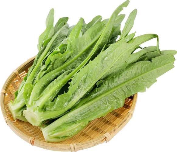 油麦菜不焯水有毒吗_油麦菜焯水有必要吗-第1张图片-山城妙识 油麦菜不焯水有毒吗_油麦菜焯水有必要吗-第1张图片-山城妙识