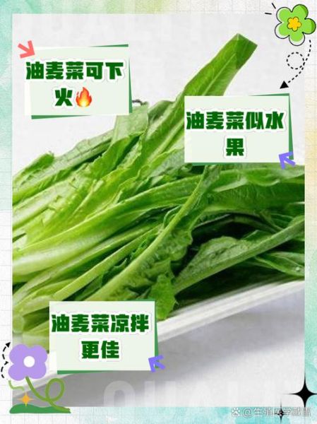 油麦菜不焯水有毒吗_油麦菜焯水有必要吗-第2张图片-山城妙识 油麦菜不焯水有毒吗_油麦菜焯水有必要吗-第2张图片-山城妙识