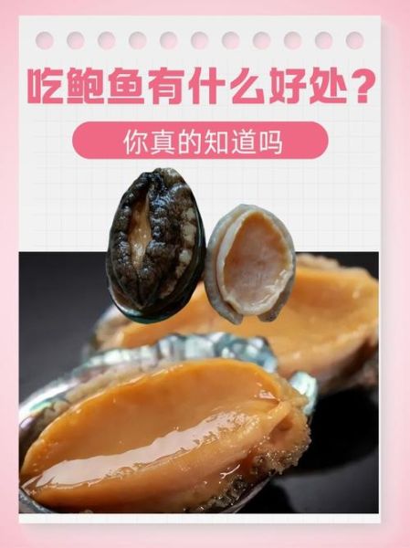 小鲍鱼的营养价值_小鲍鱼怎么吃最营养-第2张图片-山城妙识