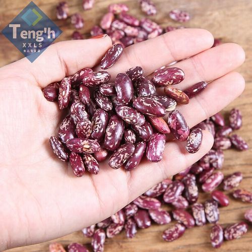 花芸豆的功效与作用_花芸豆怎么吃-第3张图片-山城妙识