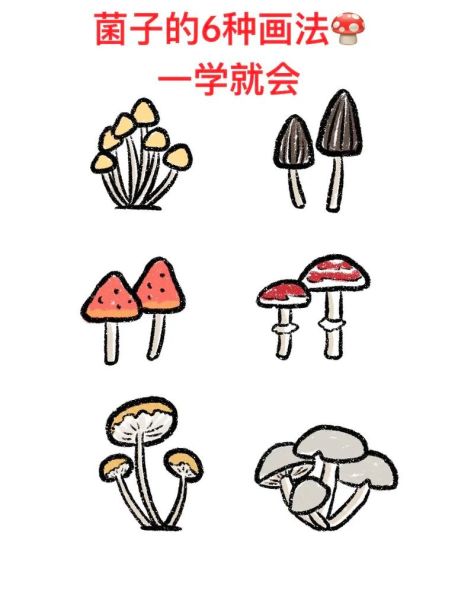 蘑菇图片大全卡通_蘑菇卡通图片怎么画-第1张图片-山城妙识