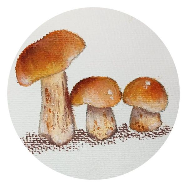 蘑菇图片大全卡通_蘑菇卡通图片怎么画-第3张图片-山城妙识