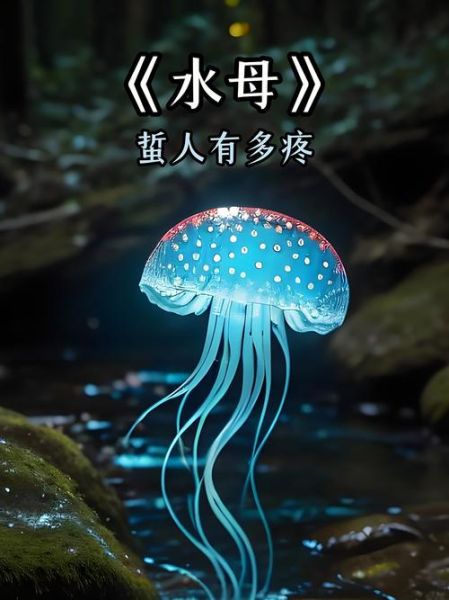 水母能吃吗_海蜇是水母吗-第3张图片-山城妙识