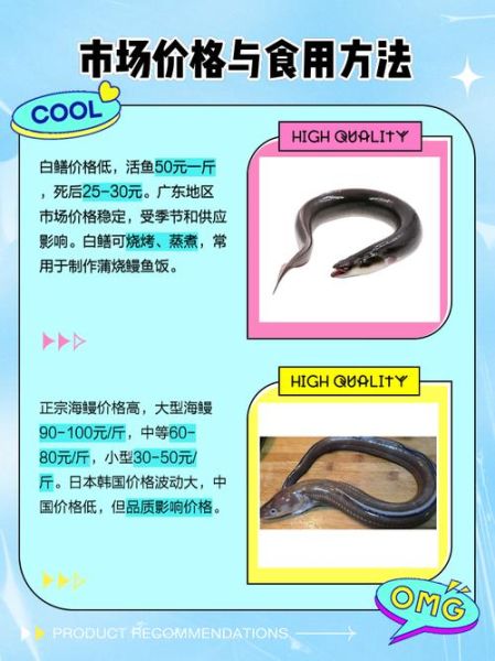 淡水白鳝鱼图片_如何分辨真假-第1张图片-山城妙识