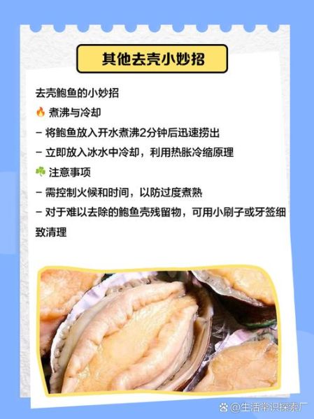 鲍鱼壳可以做什么_鲍鱼壳怎么处理-第1张图片-山城妙识