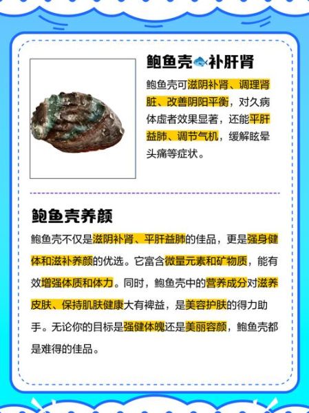 鲍鱼壳可以做什么_鲍鱼壳怎么处理-第2张图片-山城妙识