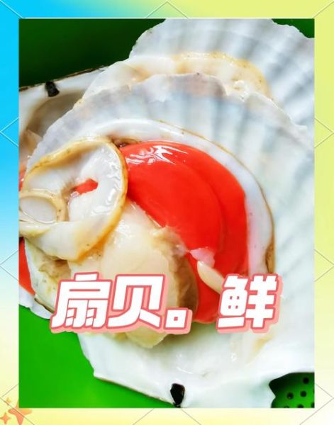 冷冻的扇贝粉丝怎么蒸_冷冻扇贝蒸多久才熟-第2张图片-山城妙识