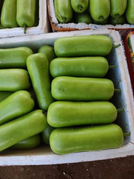 葫芦瓜图片怎么拍_葫芦瓜高清图哪里找-第2张图片-山城妙识