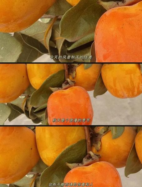 柿饼烤箱怎么制作_家庭版零失败做法-第2张图片-山城妙识