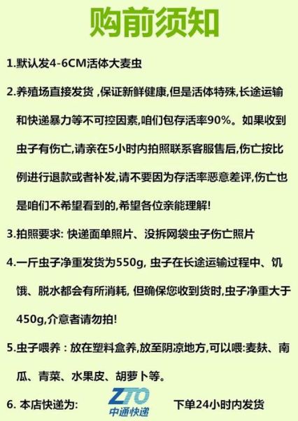 面包虫人可以吃吗_面包虫营养价值-第3张图片-山城妙识