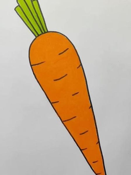 胡萝卜简笔画怎么画_胡萝卜简笔画图片大全大图-第2张图片-山城妙识 胡萝卜简笔画怎么画_胡萝卜简笔画图片大全大图-第2张图片-山城妙识