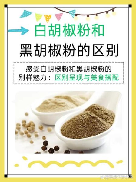 胡椒粉起什么作用_胡椒粉的功效与作用-第1张图片-山城妙识 胡椒粉起什么作用_胡椒粉的功效与作用-第1张图片-山城妙识