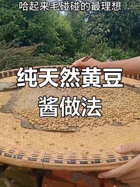 农家黄豆酱怎么做_黄豆酱发酵多久-第1张图片-山城妙识 农家黄豆酱怎么做_黄豆酱发酵多久-第1张图片-山城妙识