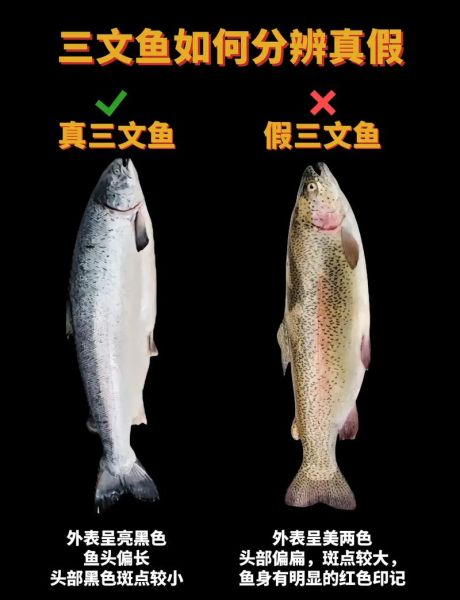 红鳟鱼和三文鱼的区别_红鳟鱼生吃安全吗-第1张图片-山城妙识