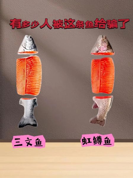 红鳟鱼和三文鱼的区别_红鳟鱼生吃安全吗-第2张图片-山城妙识