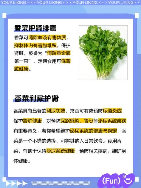 香菜的功效与作用_香菜怎么吃最营养-第3张图片-山城妙识