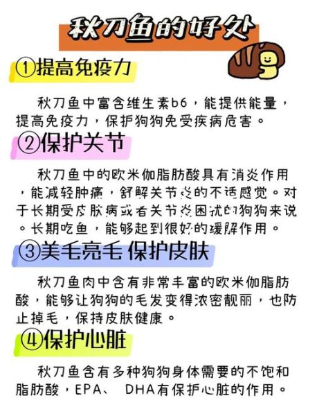 秋刀鱼多少钱一斤_秋刀鱼价格为什么波动大-第2张图片-山城妙识 秋刀鱼多少钱一斤_秋刀鱼价格为什么波动大-第2张图片-山城妙识