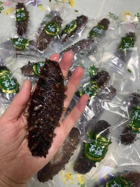 大连海参品种有哪些_大连海参价格多少钱一斤-第2张图片-山城妙识