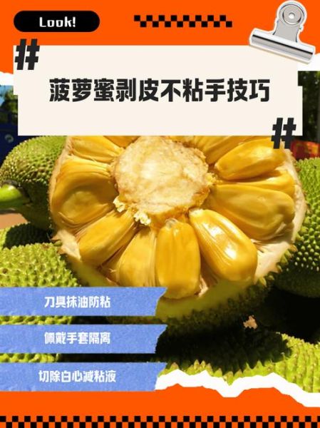 吃菠萝蜜的正确方法_菠萝蜜怎么剥皮不粘手-第1张图片-山城妙识