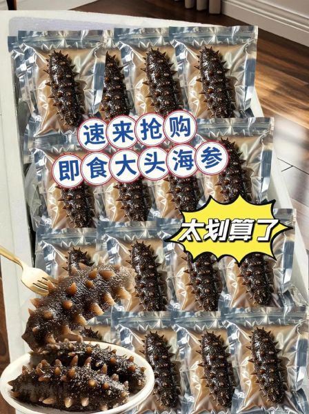 大连海参品种有哪些_大连海参价格多少钱一斤-第3张图片-山城妙识