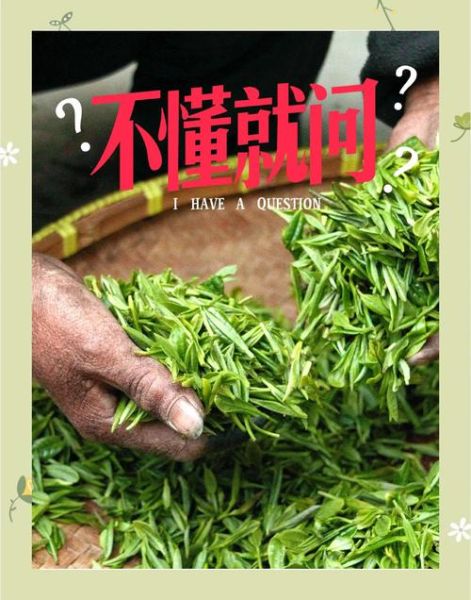 绿茶图片大全大图_如何挑选高清原图-第3张图片-山城妙识