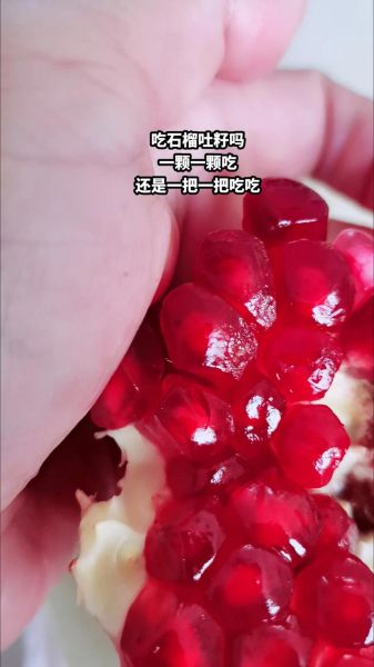 石榴籽能吃吗宝宝_宝宝吃石榴籽安全吗-第3张图片-山城妙识