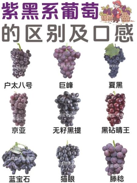 为什么是黑了木耳紫了葡萄_变黑变紫的原因-第1张图片-山城妙识