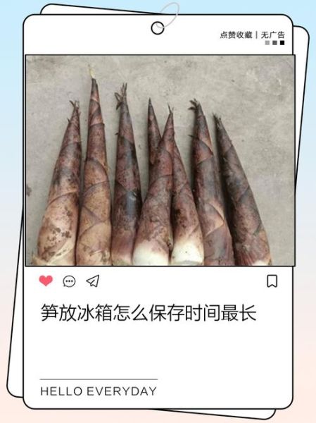 笋子怎么保存时间长_新鲜笋子能放冰箱吗-第1张图片-山城妙识 笋子怎么保存时间长_新鲜笋子能放冰箱吗-第1张图片-山城妙识